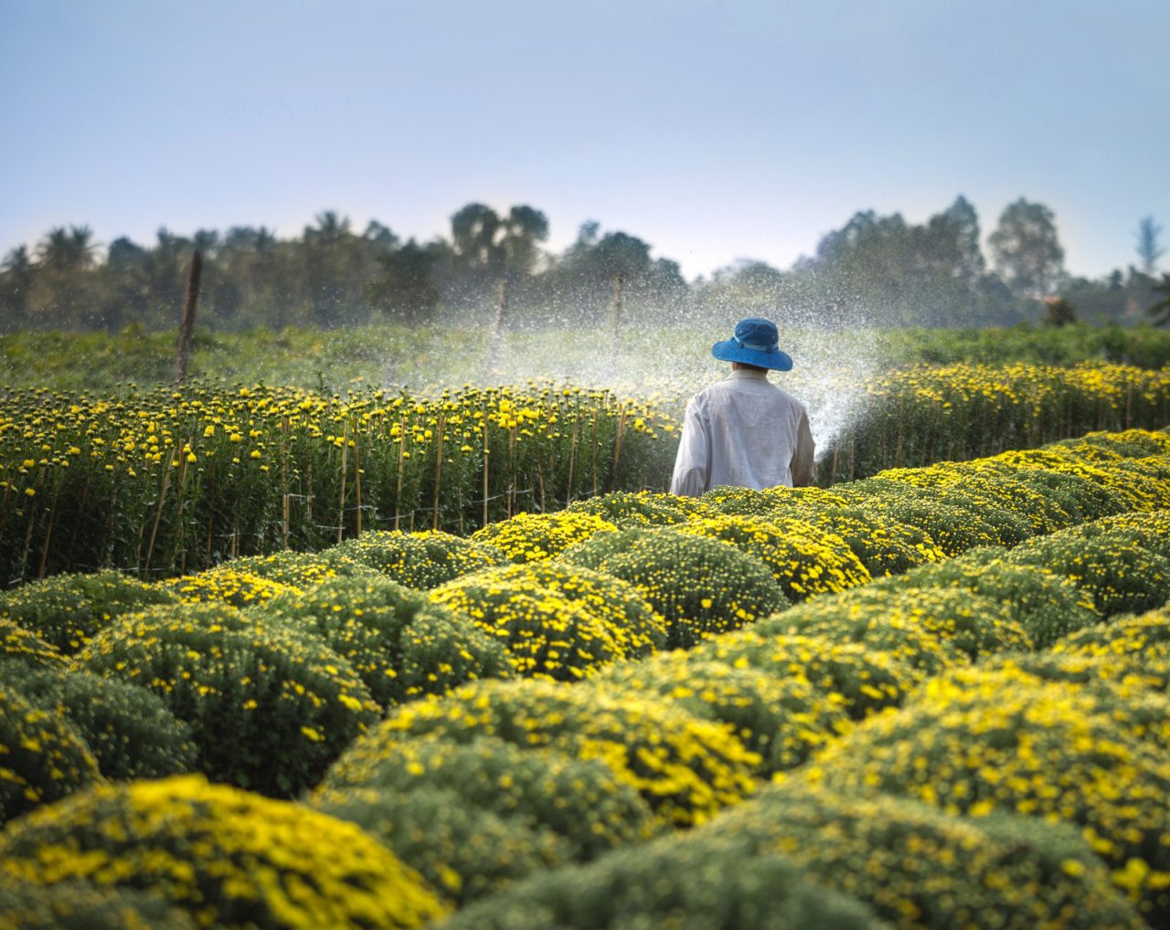 eCell Anti-Aging Technologies | Home